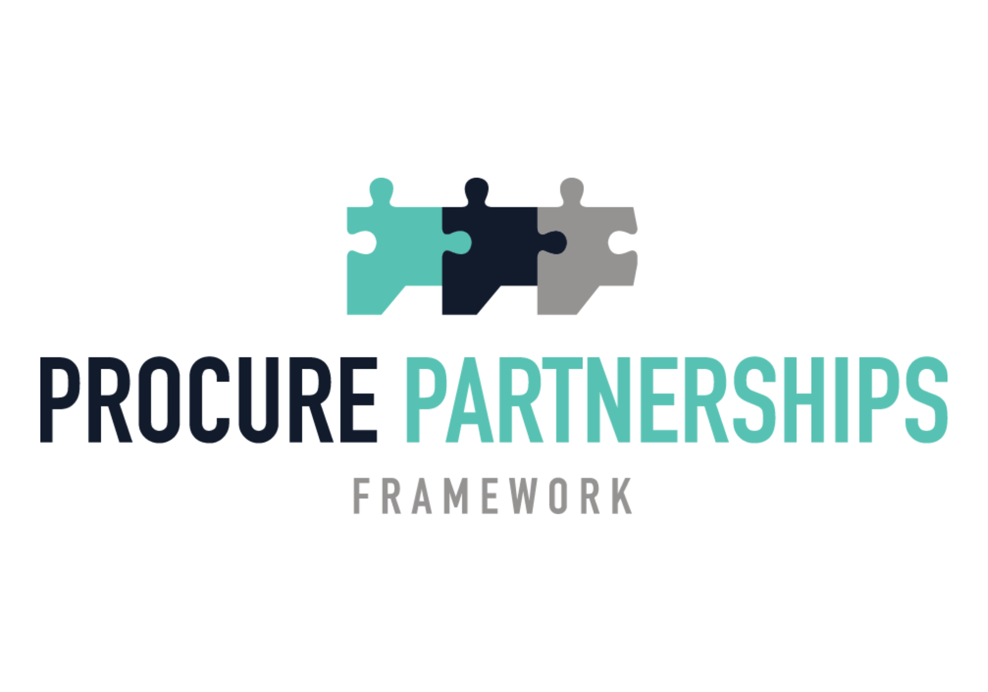 Procurement Partnerships Framework appoints Wilde